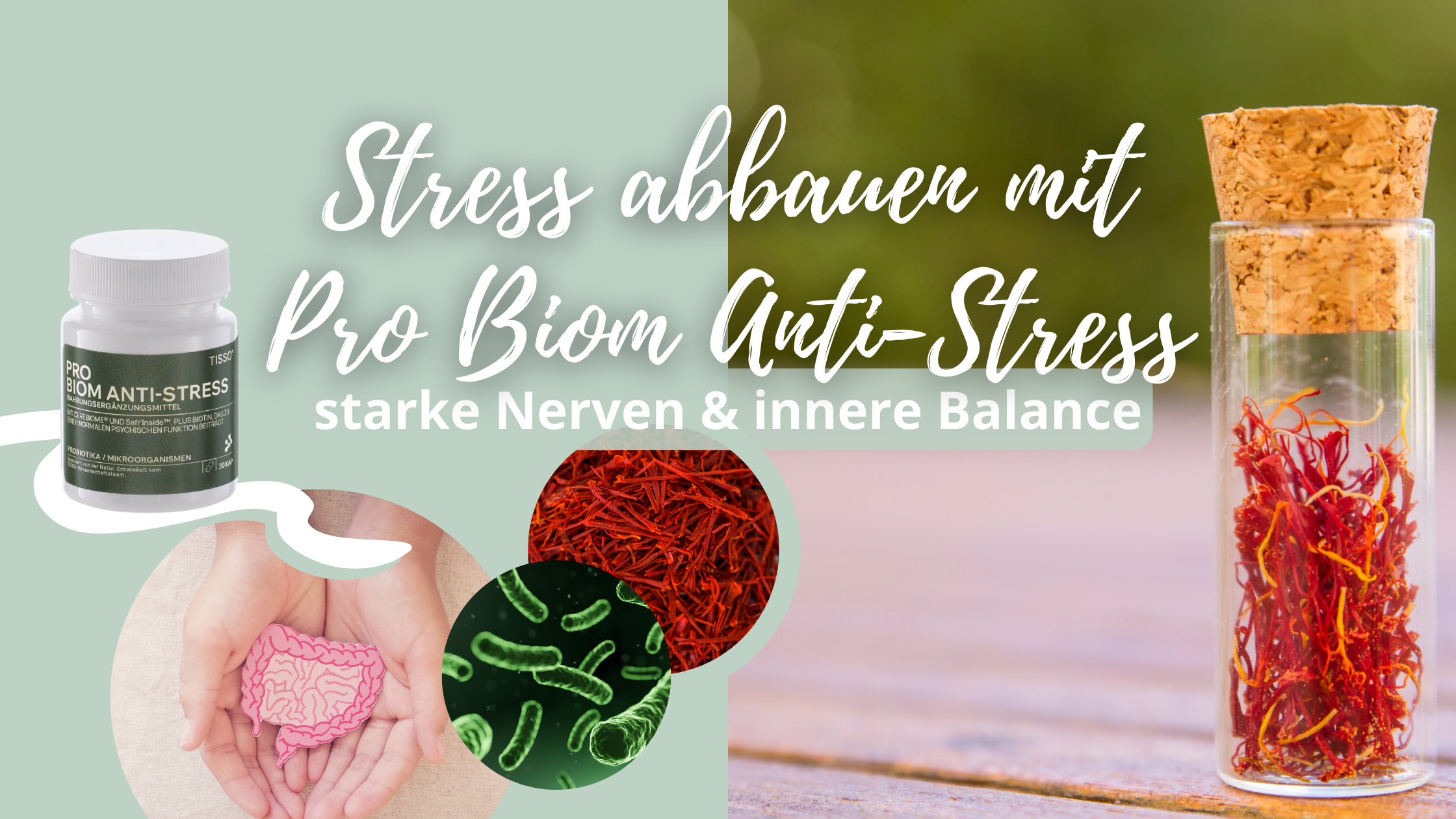 Stress abbauen mit Pro Biom Anti-Stress – Natürliche Unterstützung für ...